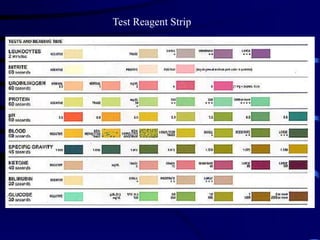 Urinalysis; urine examination in the lab.ppt