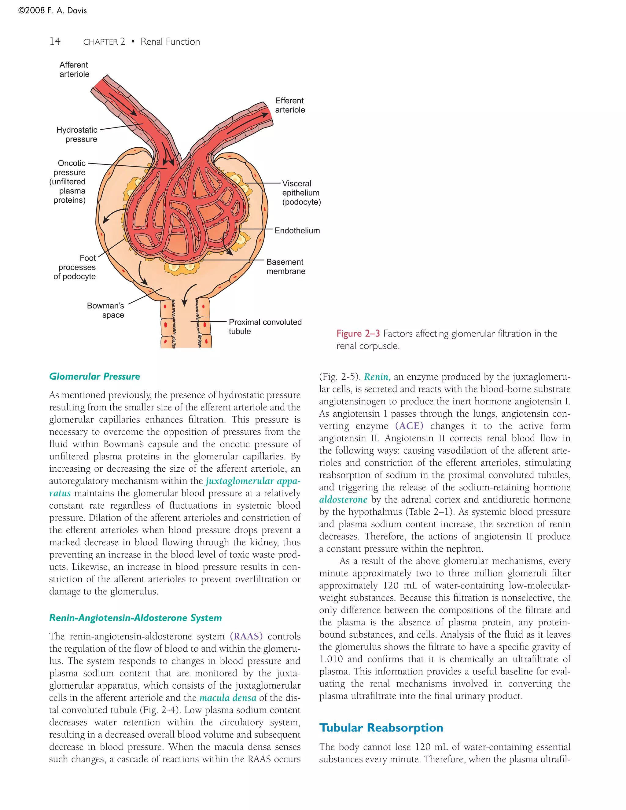 Urinalysis and Body Fluids ( PDFDrive ).pdf