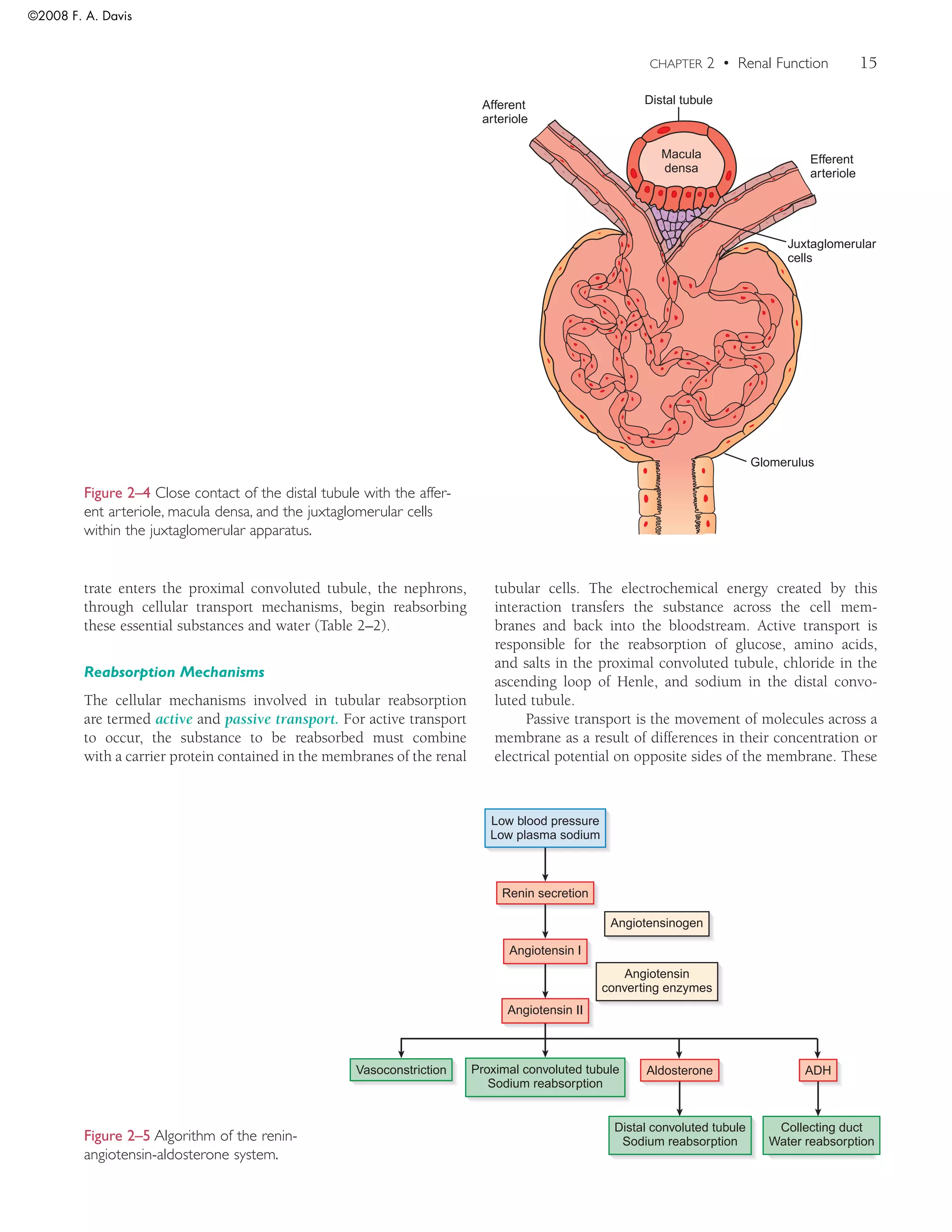 Urinalysis and Body Fluids ( PDFDrive ).pdf