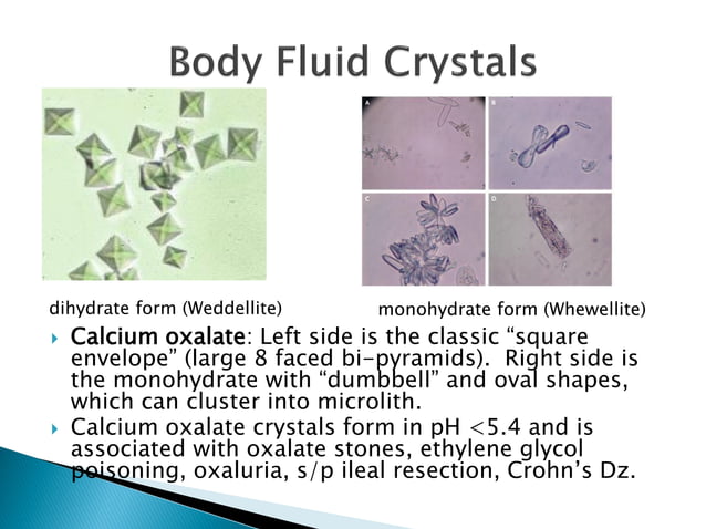 Urinalysis and body fluid crystals | PDF | Blood Disorders | Diseases ...