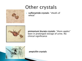 Sulfonamide Crystals