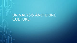 urinalysis and urine culture presentation1).pptx