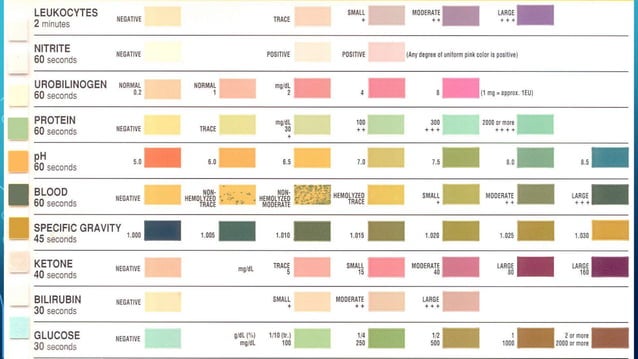 urinalysis and urine culture presentation1).pptx