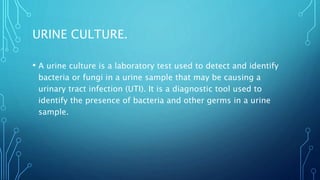 urinalysis and urine culture presentation1).pptx