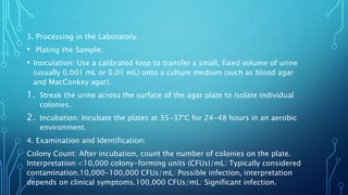 urinalysis and urine culture presentation1).pptx