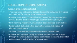 urinalysis and urine culture presentation1).pptx