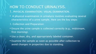 urinalysis and urine culture presentation1).pptx