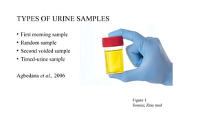 URINALYSIS IN HEALTH & DISEASES CORRECTED.pptx