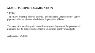 URINALYSIS IN HEALTH & DISEASES CORRECTED.pptx