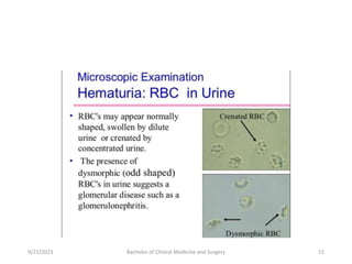 Urinalysis interpretation.pptx