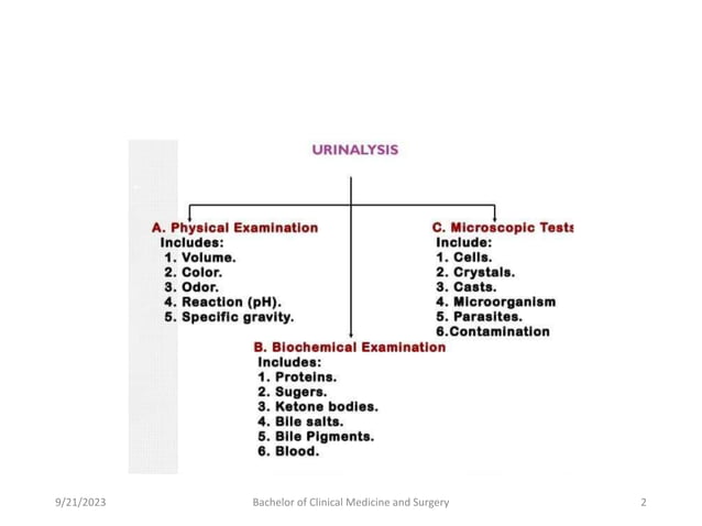 Urinalysis interpretation.pptx
