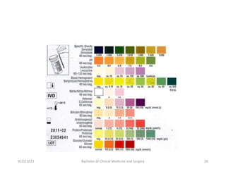 Urinalysis interpretation.pptx