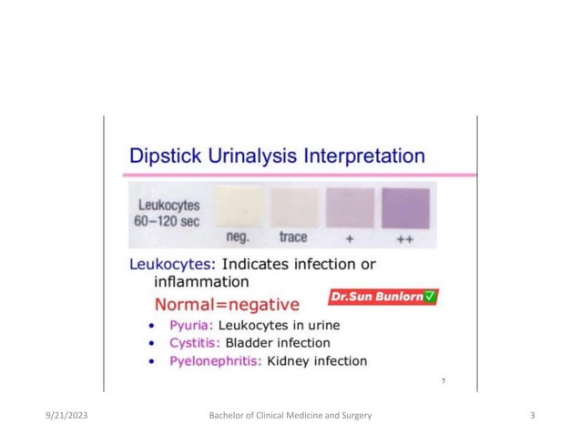Urinalysis interpretation.pptx