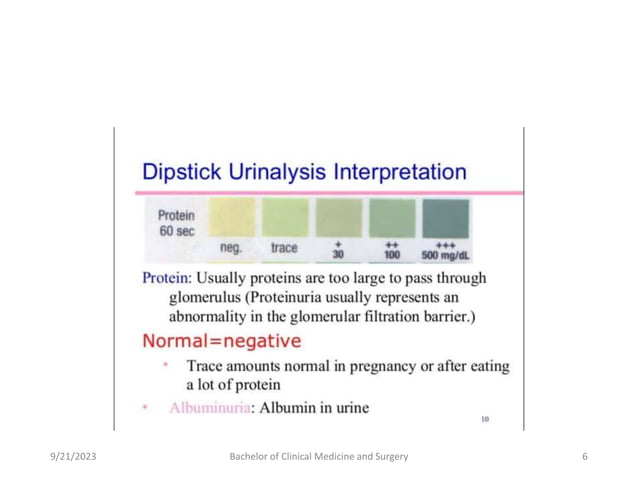 Urinalysis interpretation.pptx