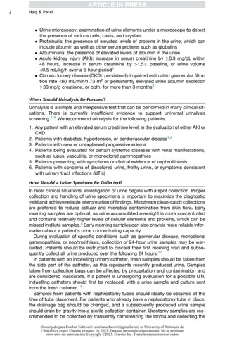 Urinalysis Interpretation and Clinical Correlations.pdf