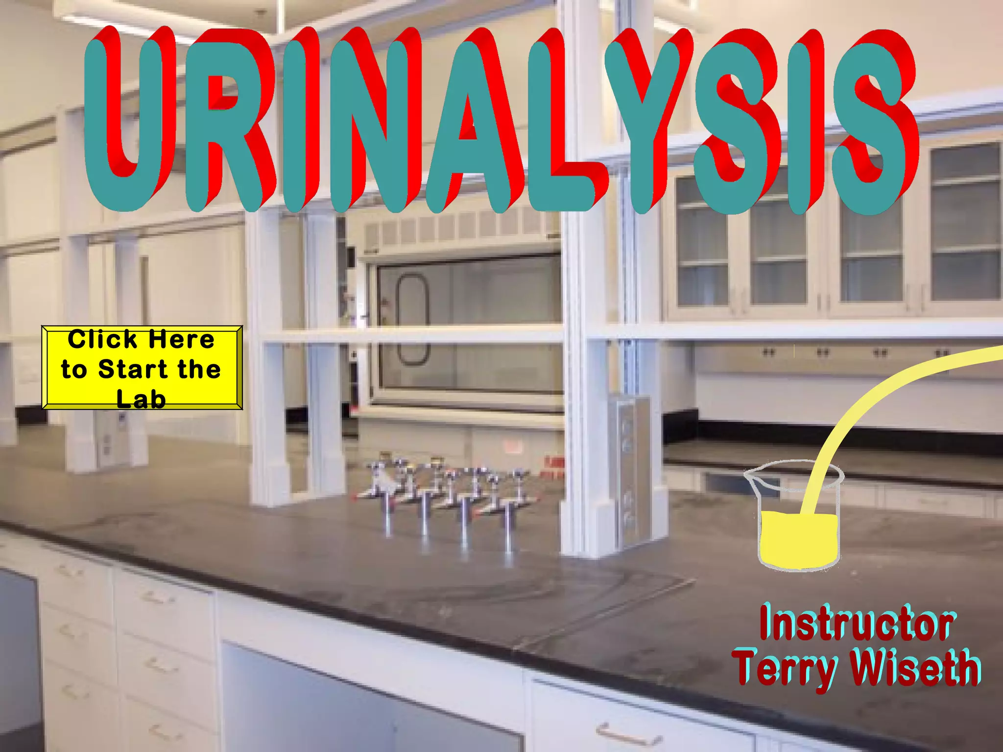 Urinalysis lab | PPT | Chemistry | Science