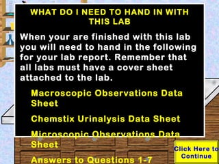 Urinalysis lab | PPT