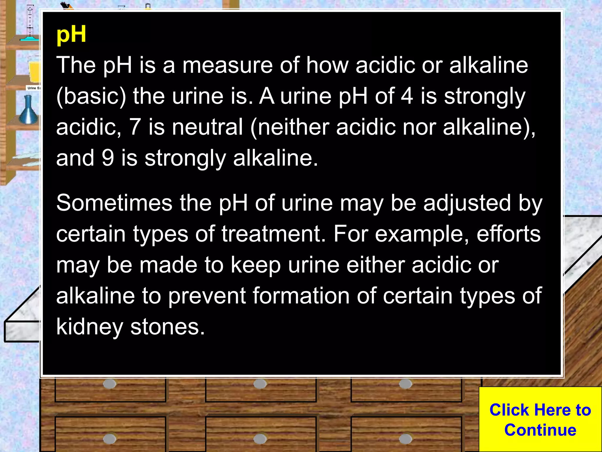 Urinalysis lab powerpoint.ppt