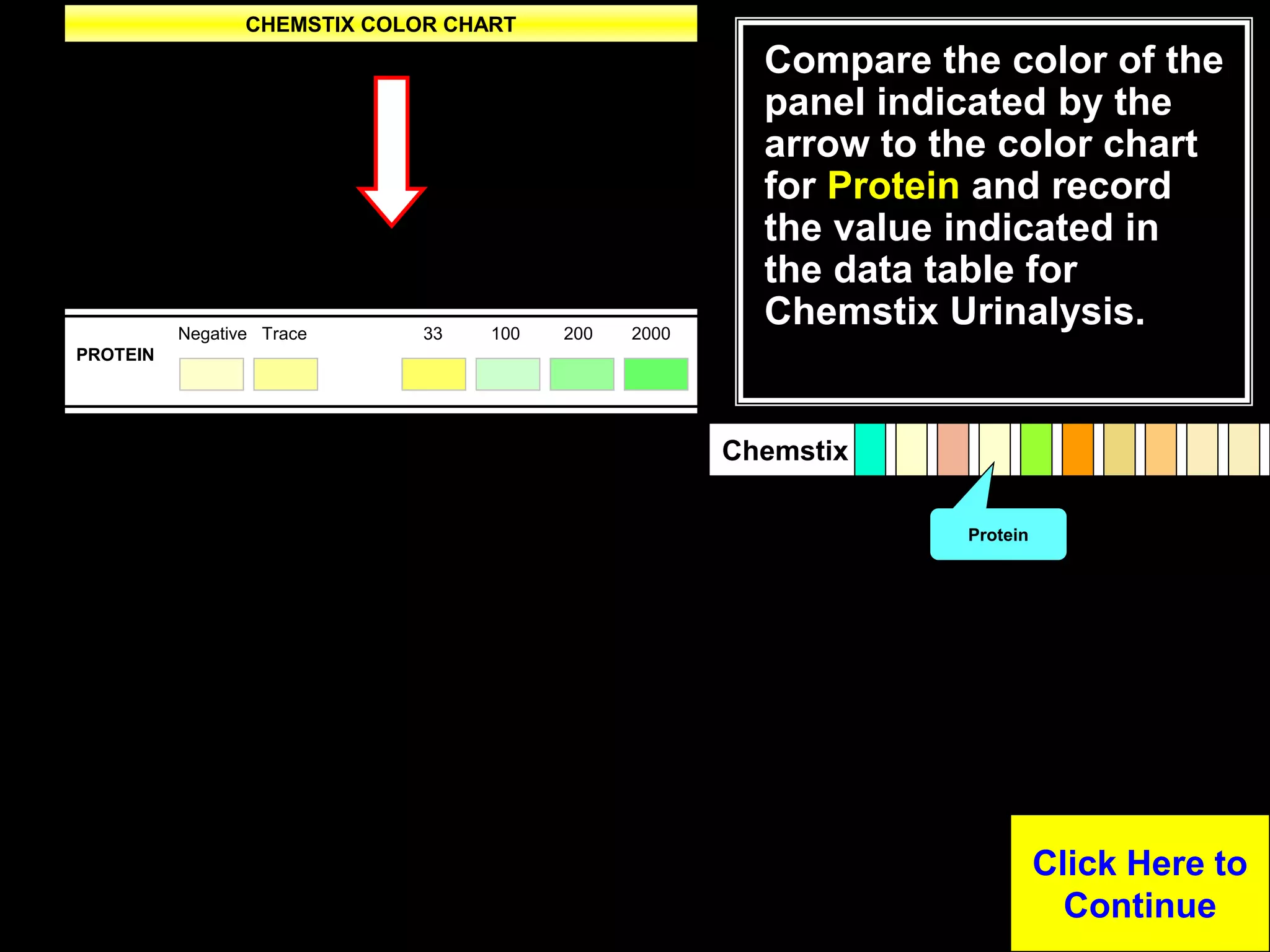 Urinalysis lab powerpoint.ppt