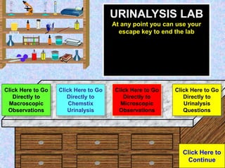Urinalysis lab powerpoint.ppt