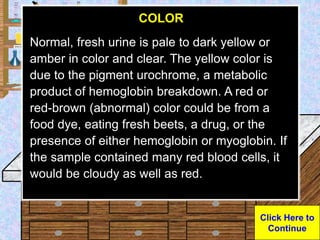 Urinalysis lab powerpoint.ppt