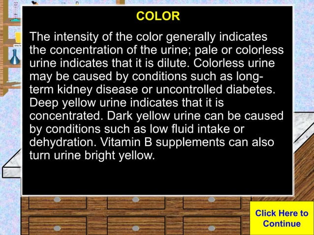 Urinalysis lab powerpoint.ppt