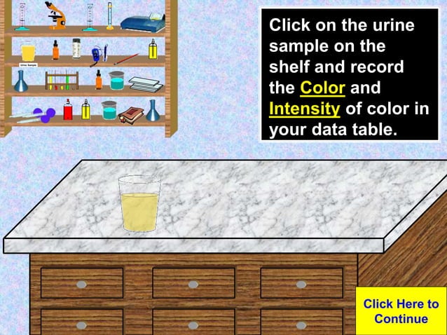 Urinalysis lab powerpoint.ppt