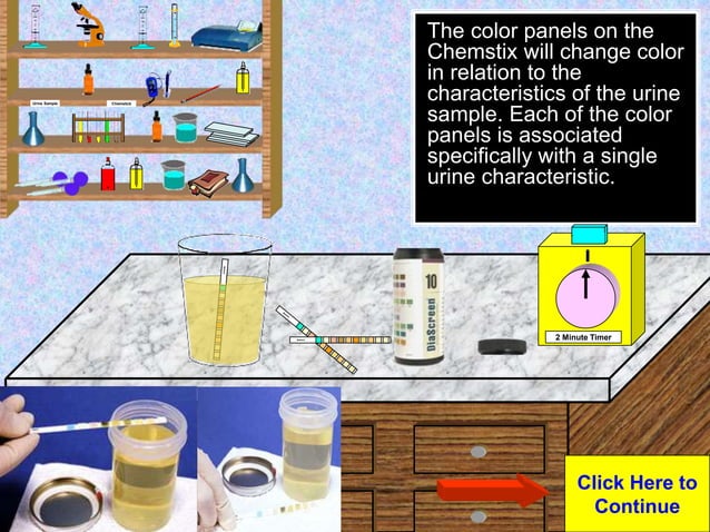 Urinalysis lab powerpoint.ppt