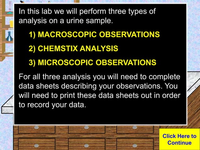 Urinalysis lab powerpoint.ppt