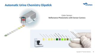 Urinalysis Sysmex - Clinical Pathology Resident Program | PPT