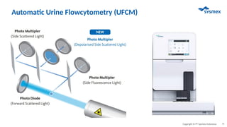 Urinalysis Sysmex - Clinical Pathology Resident Program | PPT