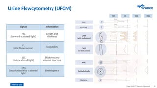 Urinalysis Sysmex - Clinical Pathology Resident Program | PPT