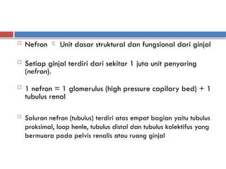 anatomi fisiologi sistem urinaria pada manusia | PPT