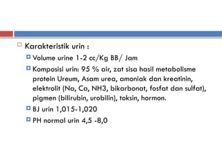 anatomi fisiologi sistem urinaria pada manusia | PPT