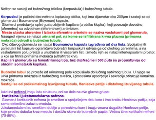 Urinarni trakt | ODP