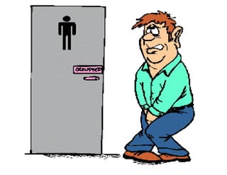 Urinarni trakt | ODP
