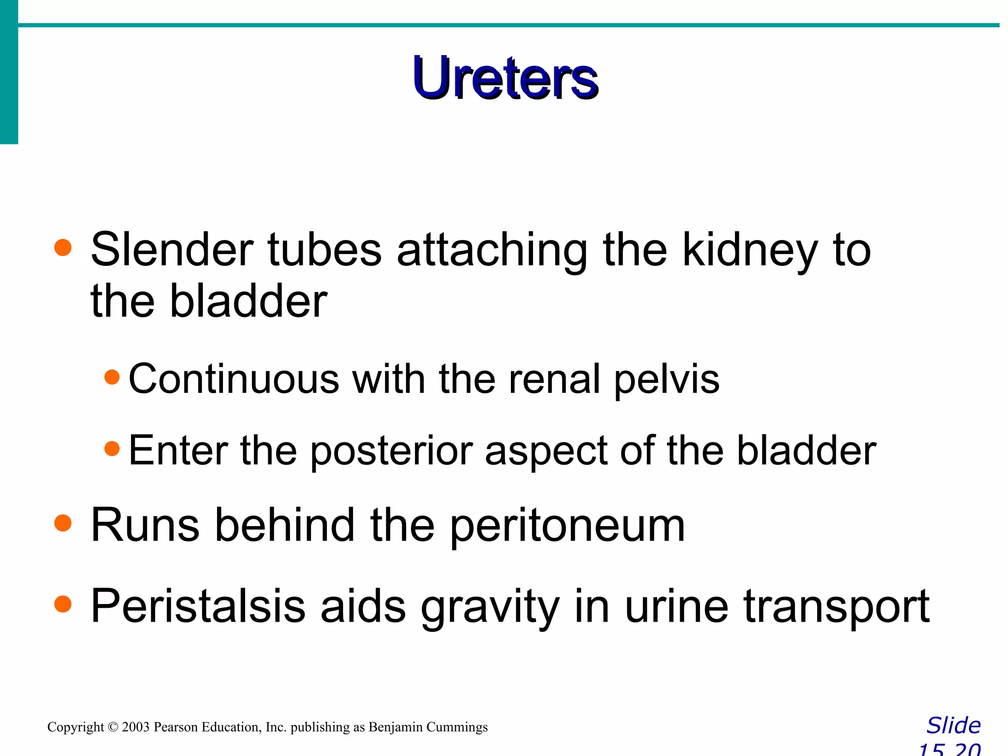 Urinary | PPT