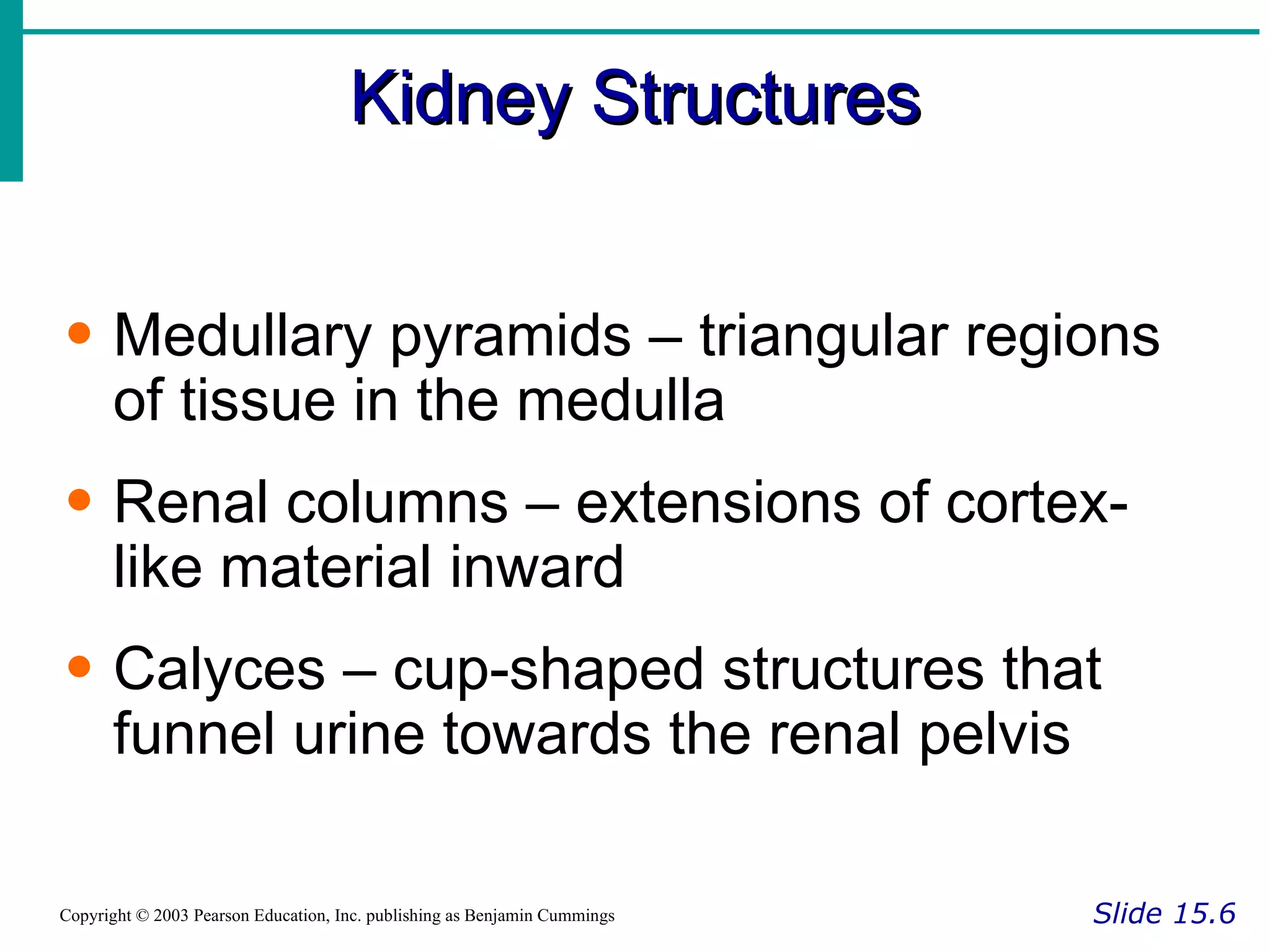 Urinary | PPT