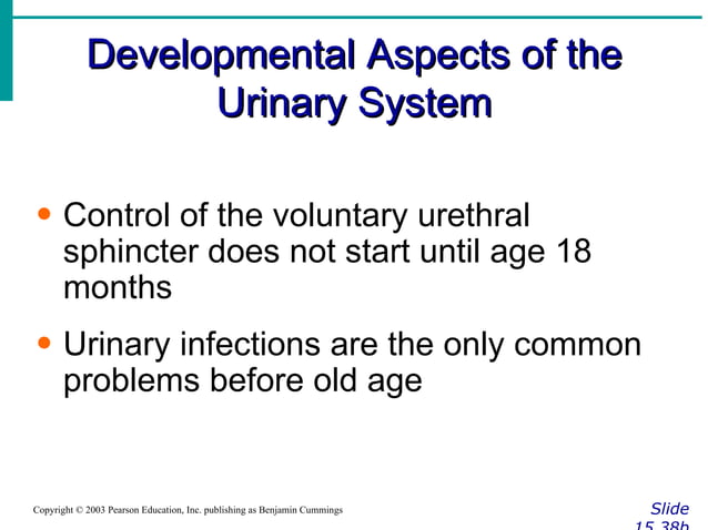 Urinary | PPT