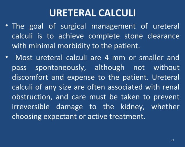 Urinary calculi | PPT | Digestive Disorders | Diseases and Conditions