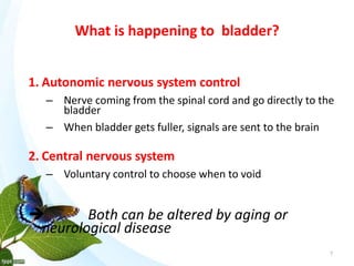 Urinary incontinence | PPTX