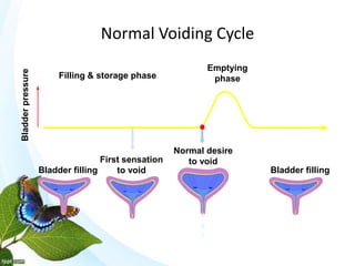 Urinary incontinence | PPTX