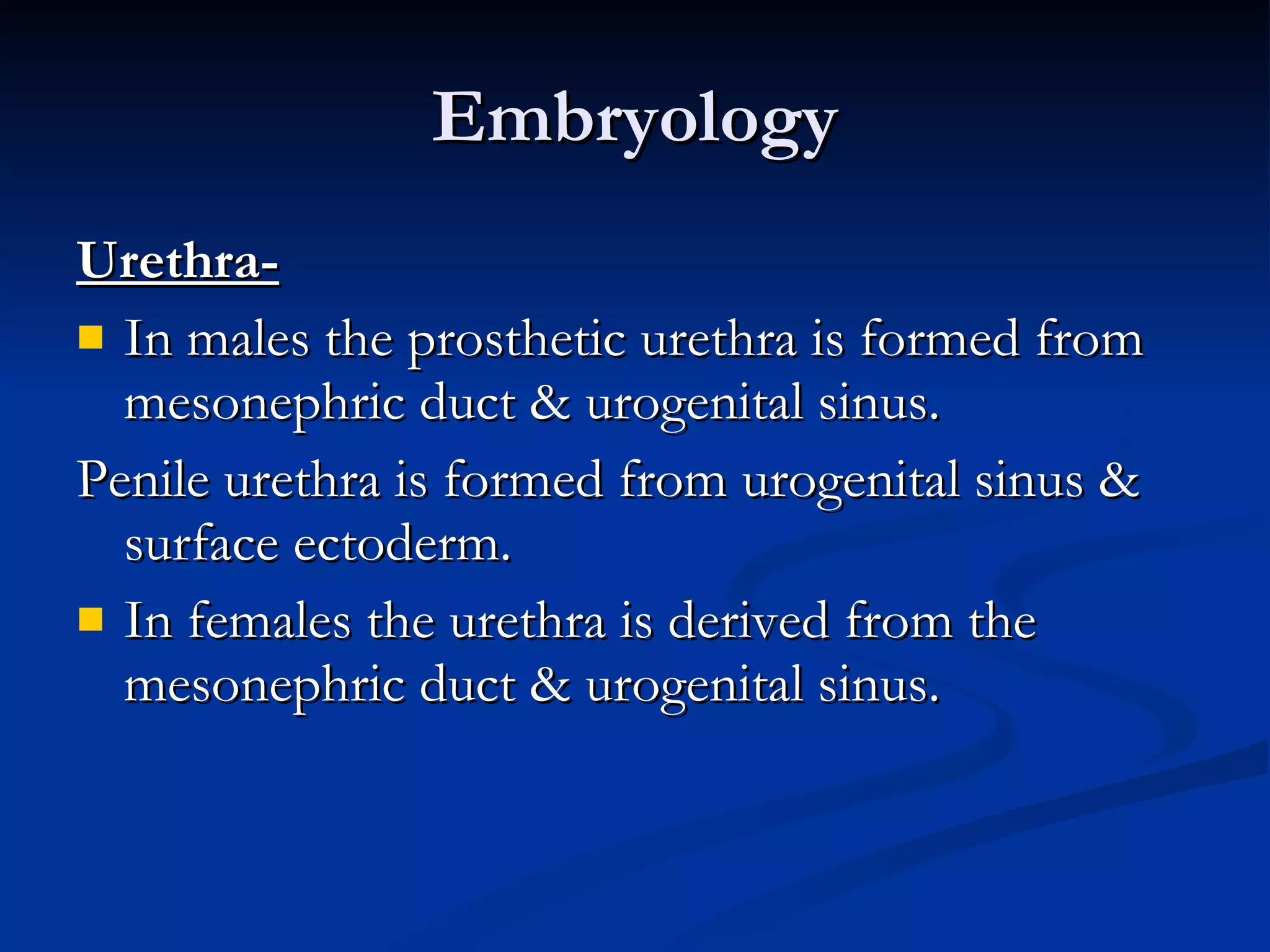 Urinary Outflow Obstruction | PPT