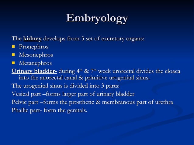 Urinary Outflow Obstruction | PPT
