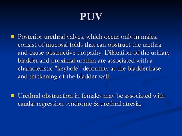 Urinary Outflow Obstruction | PPT