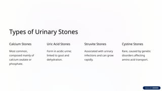Urinary-Stone-Diseasess An-Overview.pptx