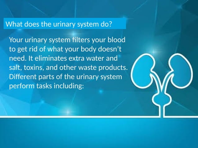 URINARY-SYSTEM-PPT (1).pptxdkasdasavadkn | PPT