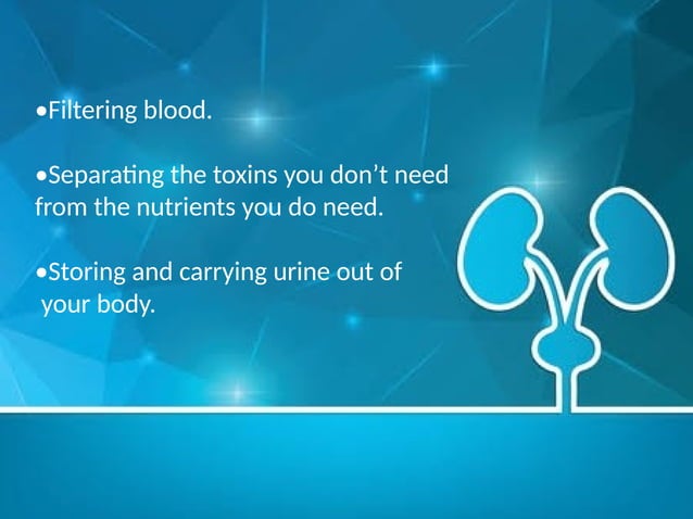 URINARY-SYSTEM-PPT (1).pptxdkasdasavadkn | PPT