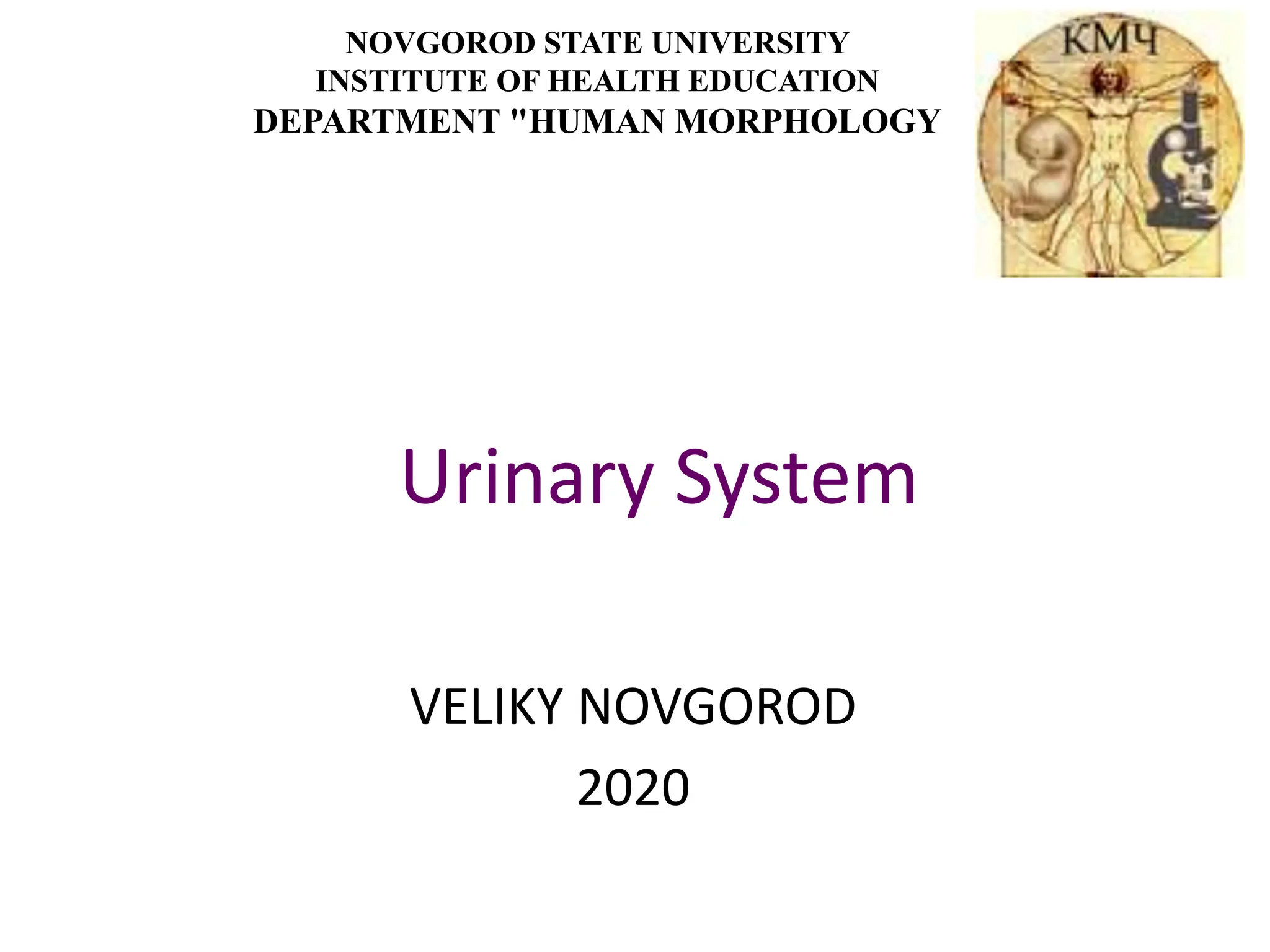 urinary-system presentation histology . Pdf | PPT