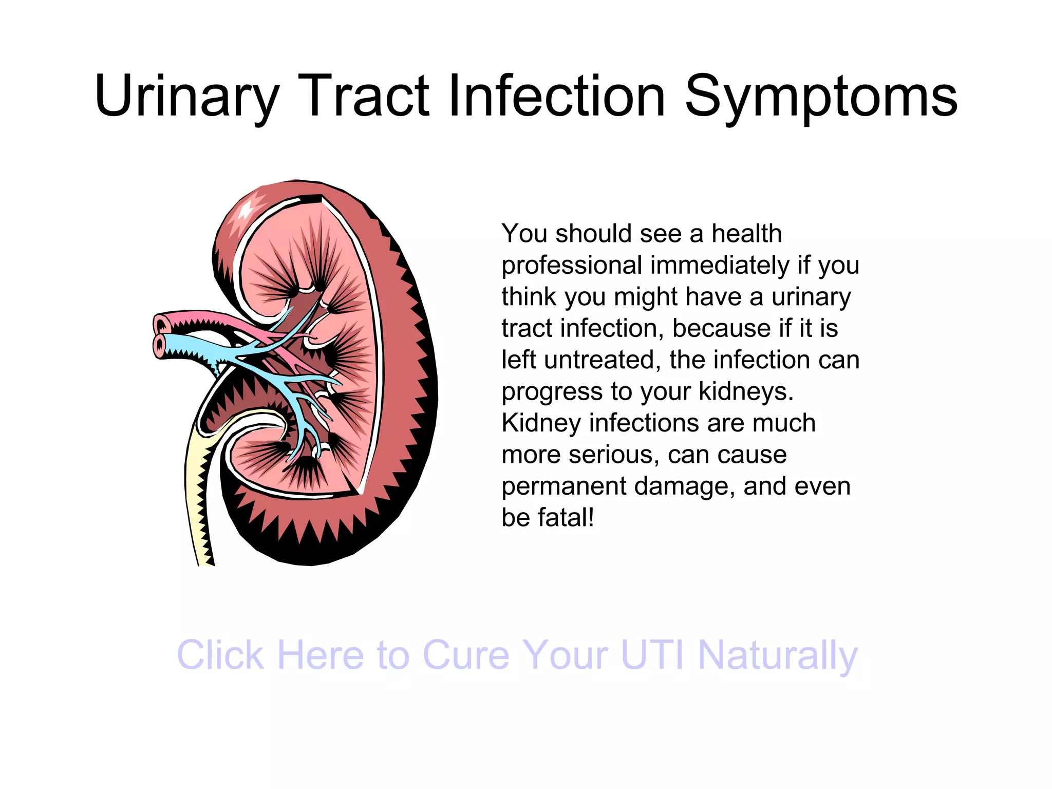 Urinary Tract Infection Symptoms | PPT | Infectious Diseases | Diseases ...